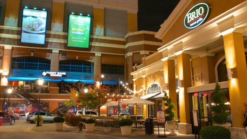 Downtown Cincinnati Shopping Malls