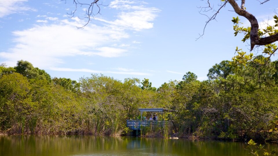 Big Pine Key Hotels - Hotel Deals | Travelocity