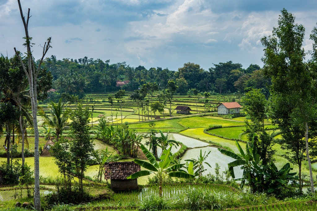 5x Javaanse cultuur in Yogyakarta | Explore met Expedia