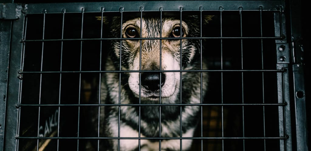 Was ist AVIH | Expedia Explore