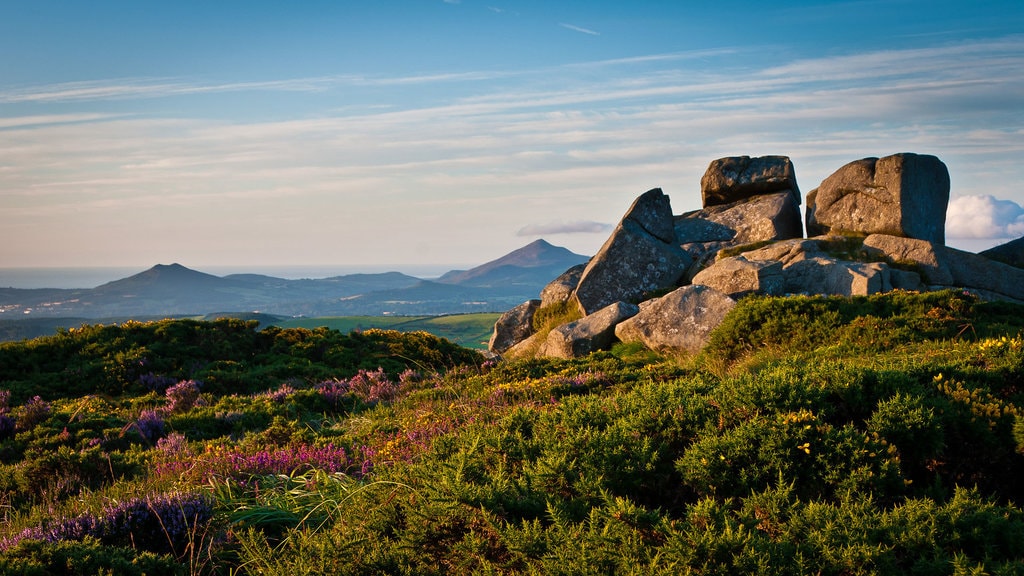 Dublin Mountain Walks | Explore by Expedia