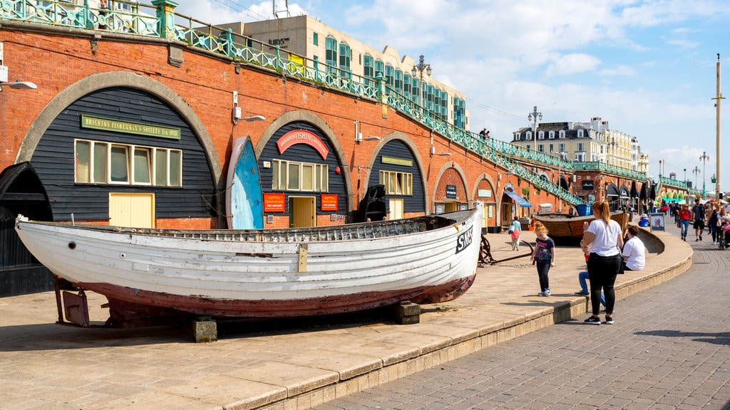 Brighton dog-friendly | Explore by Expedia