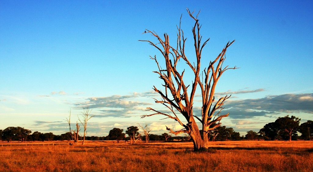 Découvrez l'Outback en vidéo | Explore par Expedia