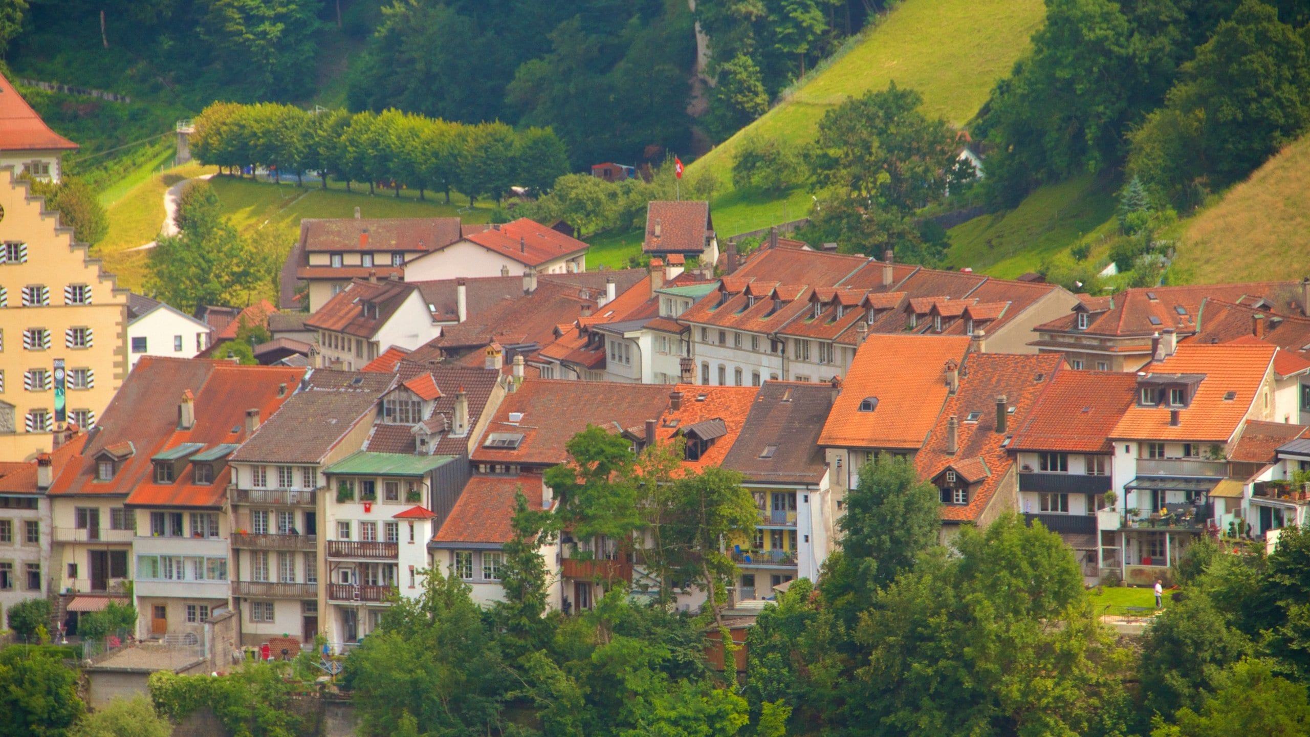 Dollar Car Rental Deals in Canton of Fribourg | AARP Travel Center