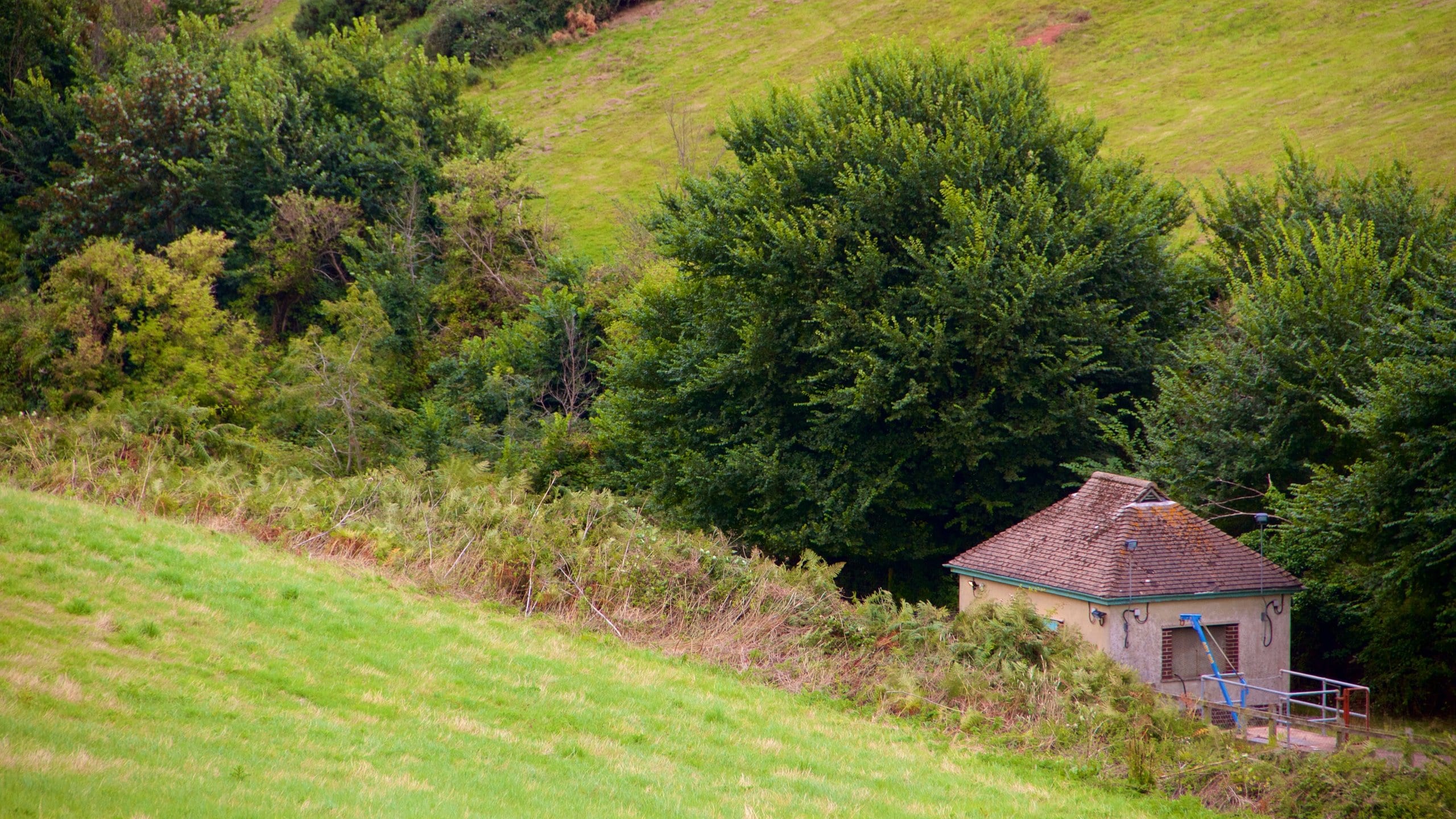 Visit Devon: Best of Devon Tourism | Expedia Travel Guide