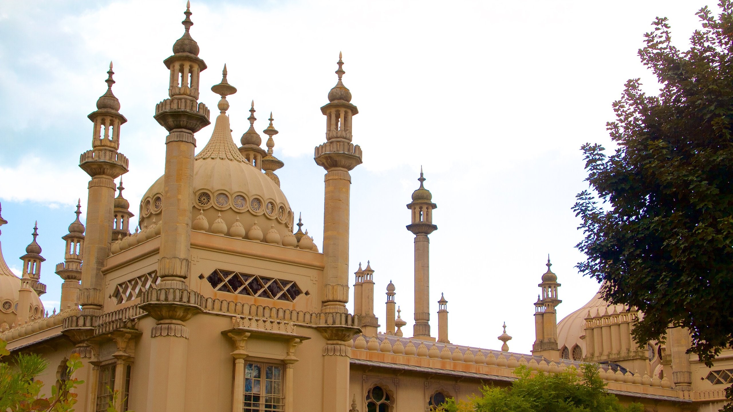 Que Hay Para Hacer En Brighton Con Perros