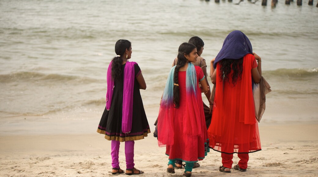 Visitez District De Malappuram Le Meilleur De District De Malappuram visitez-district-de-malappuram-le-meilleur-de-district-de-malappuram