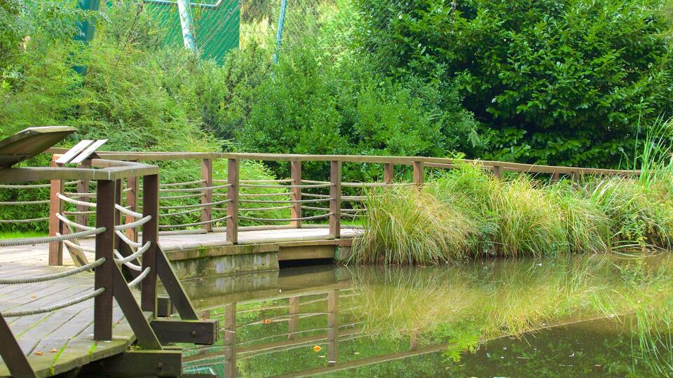 Zoo de Zagreb caracterizando animais de zoológico e um lago