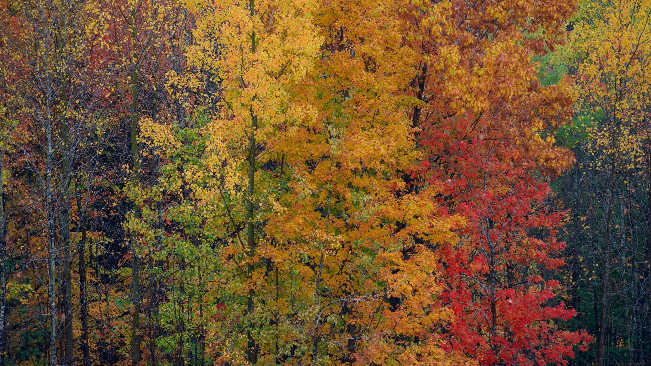 Visit Keene: 2024 Travel Guide for Keene, New Hampshire | Expedia