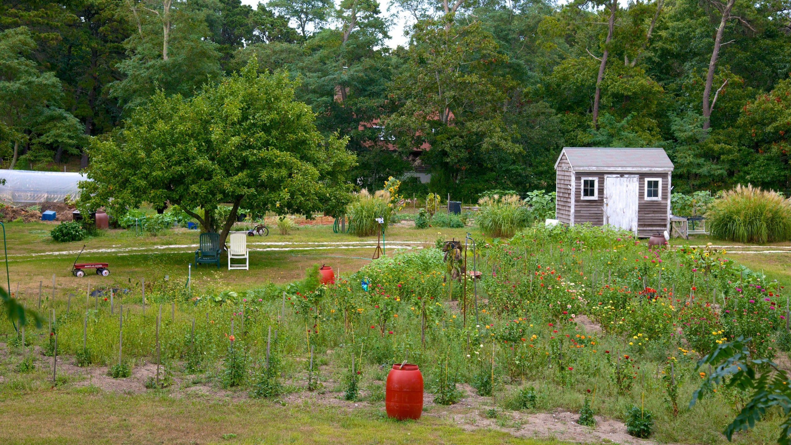 Visit Truro: 2024 Travel Guide for Truro, Massachusetts | Expedia