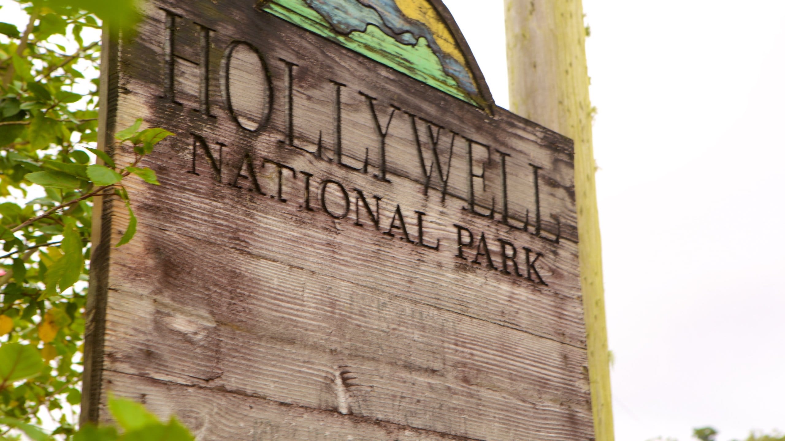 Holywell Park Tours - Book Now | Expedia
