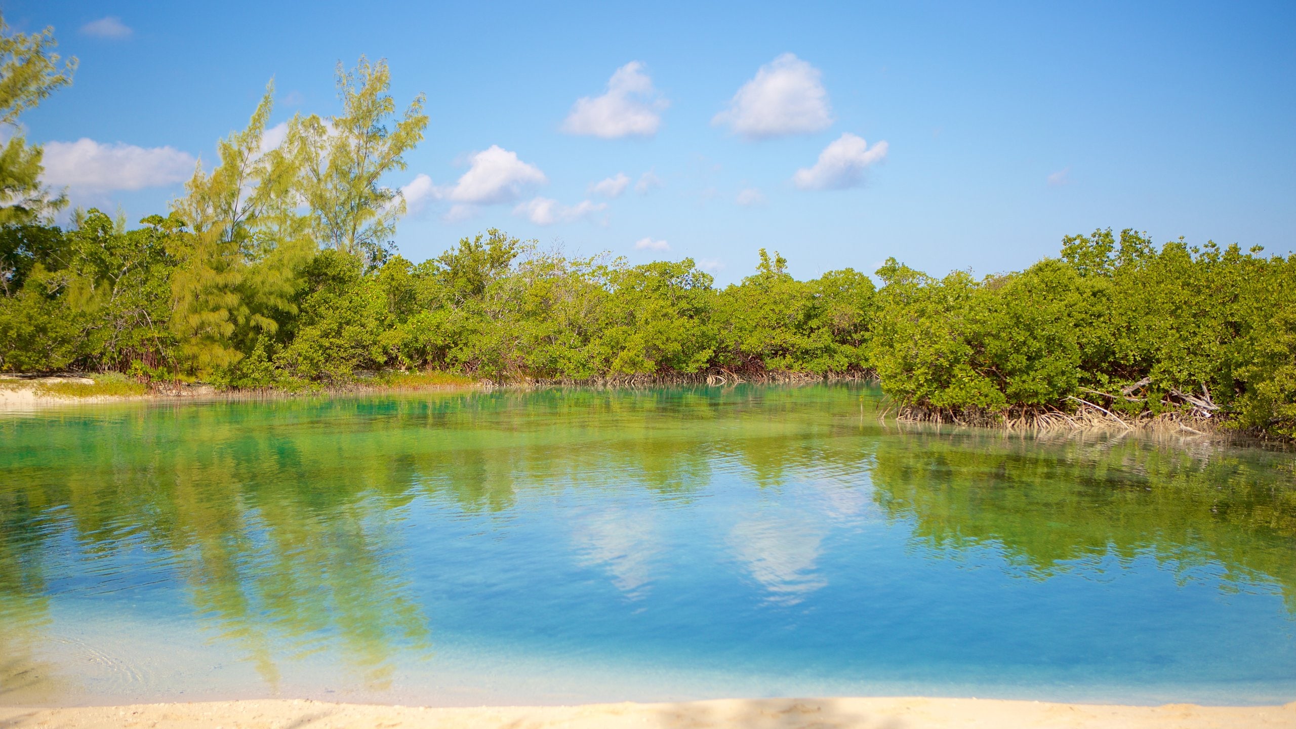 Lucayan National Park Tours - Book Now | Expedia