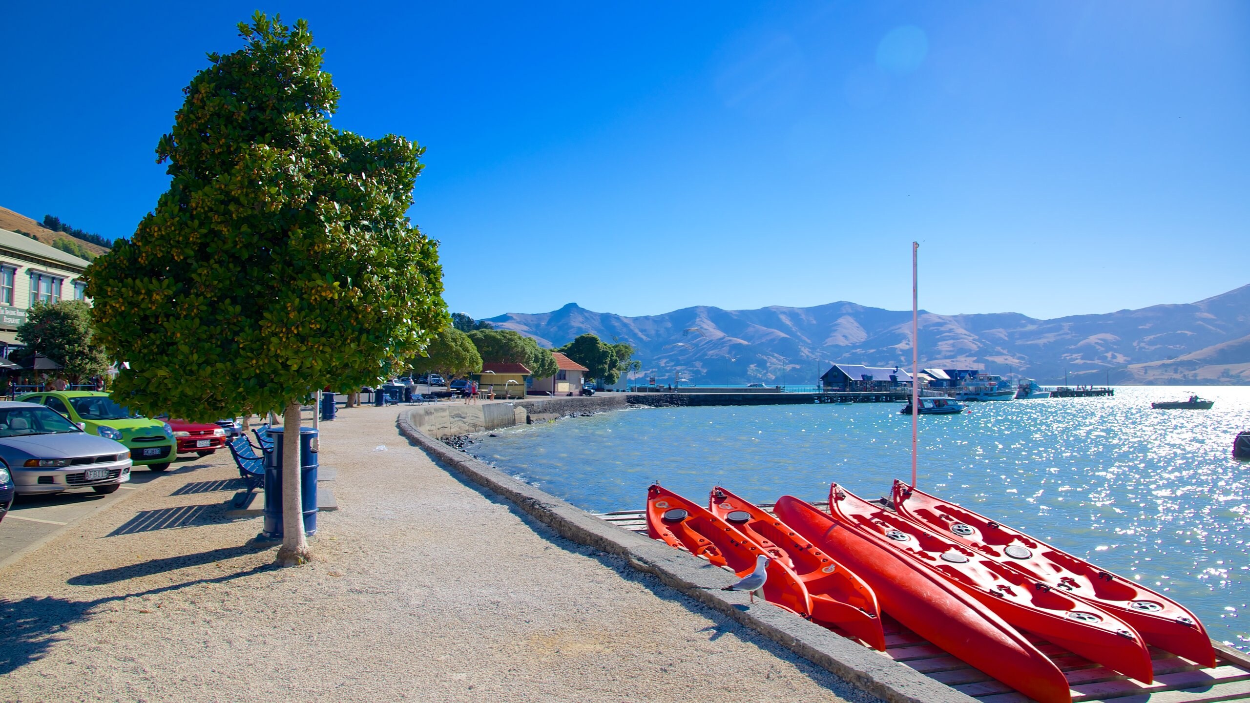Top 20 Akaroa, NZ house rentals from $95/night | Vrbo