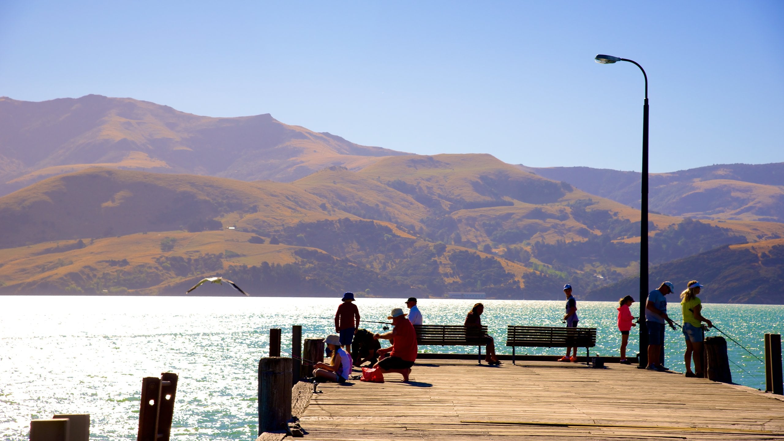 Visit Akaroa: 2024 Travel Guide for Akaroa, Canterbury | Expedia