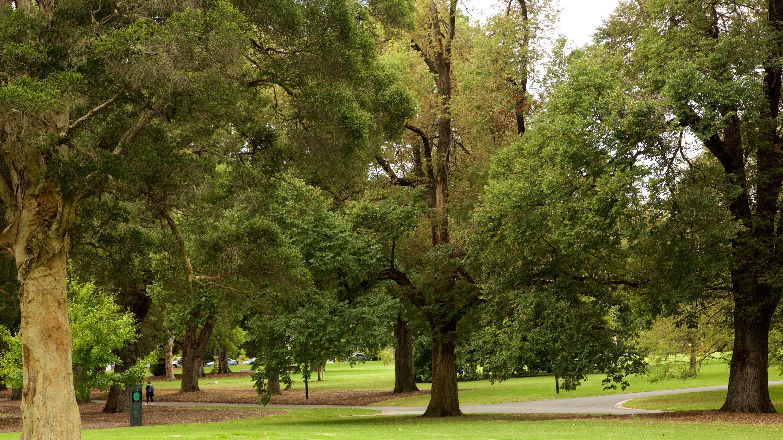 Visit East Melbourne: Best of East Melbourne, Melbourne Travel 2023 ...