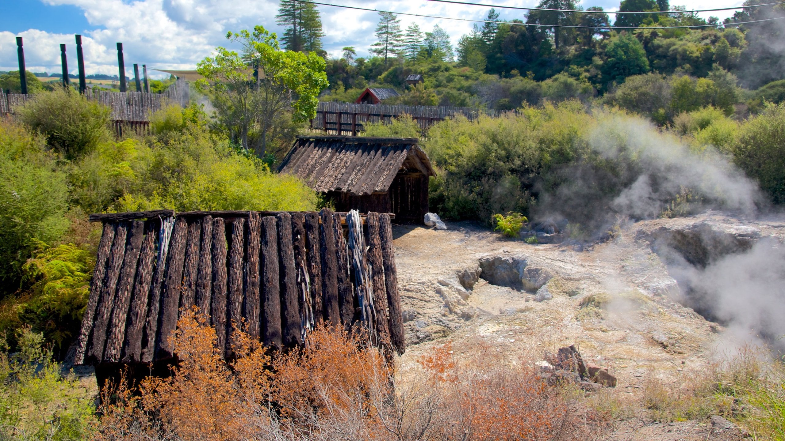 Whakarewarewa Thermal Reserve Tours - Book Now | Expedia