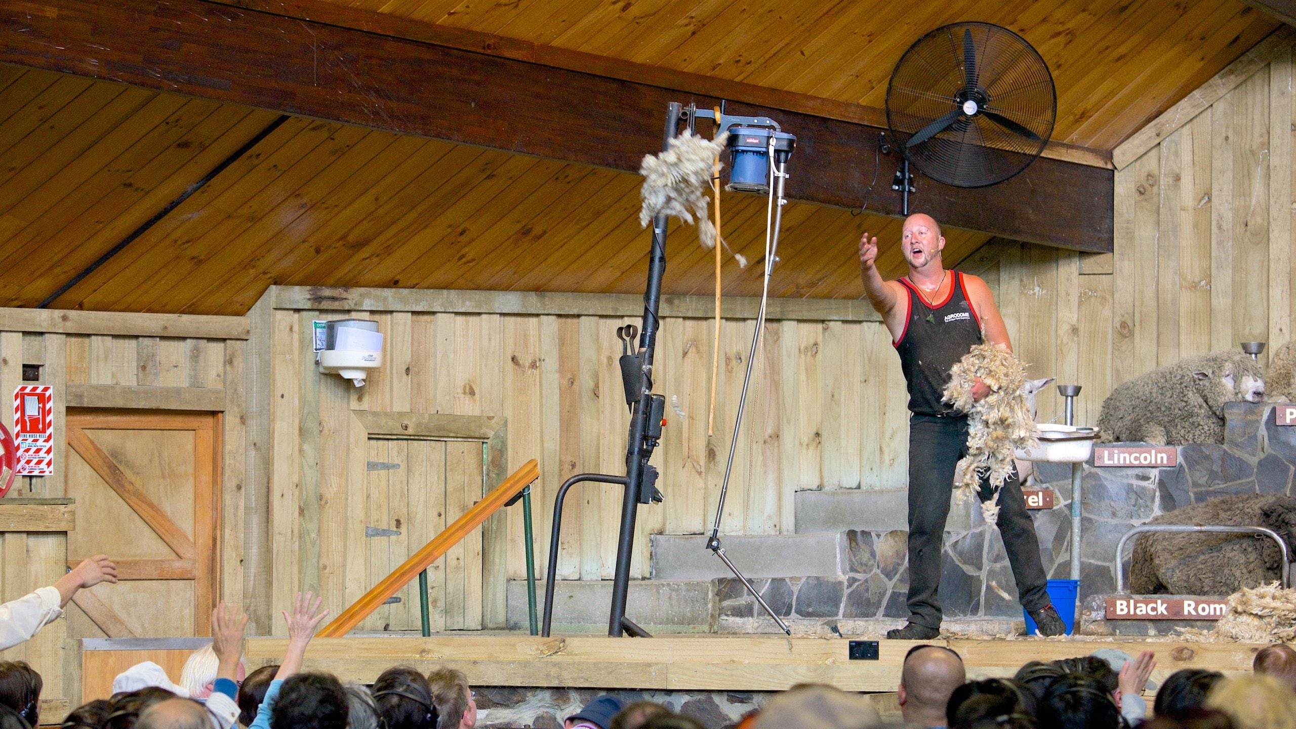 Agrodome - Tours and Activities | Expedia