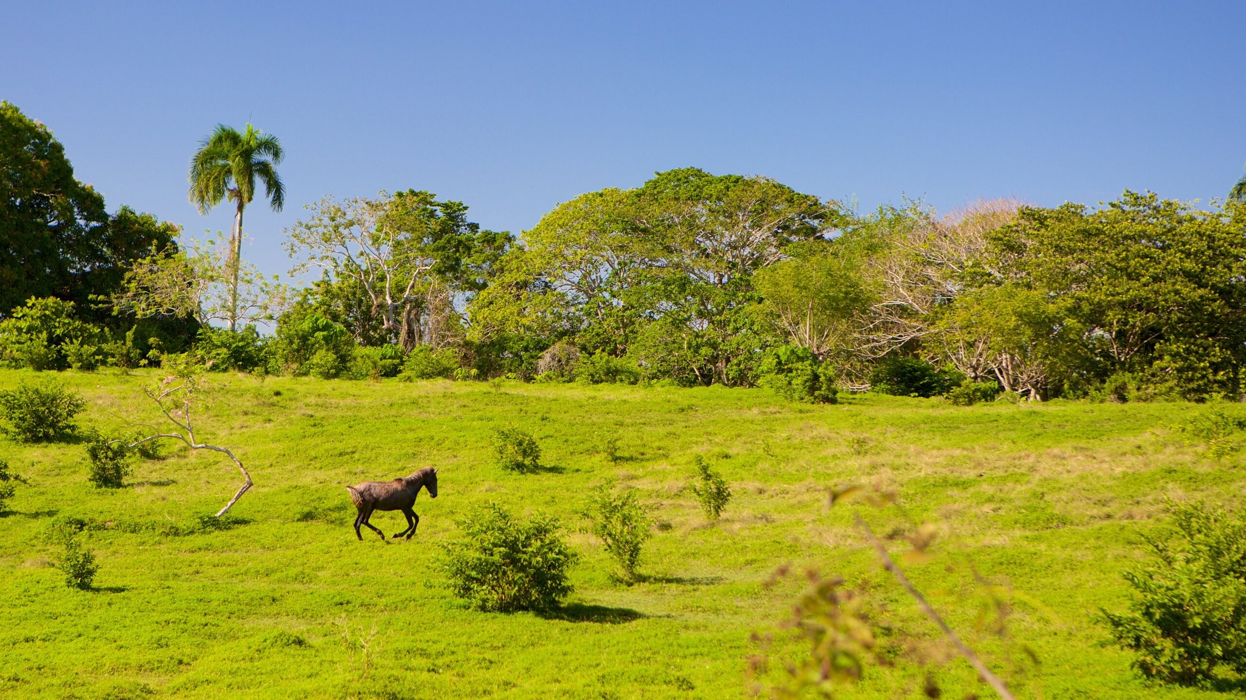 10 TOP Things to Do in Higuey July 2024 | Expedia