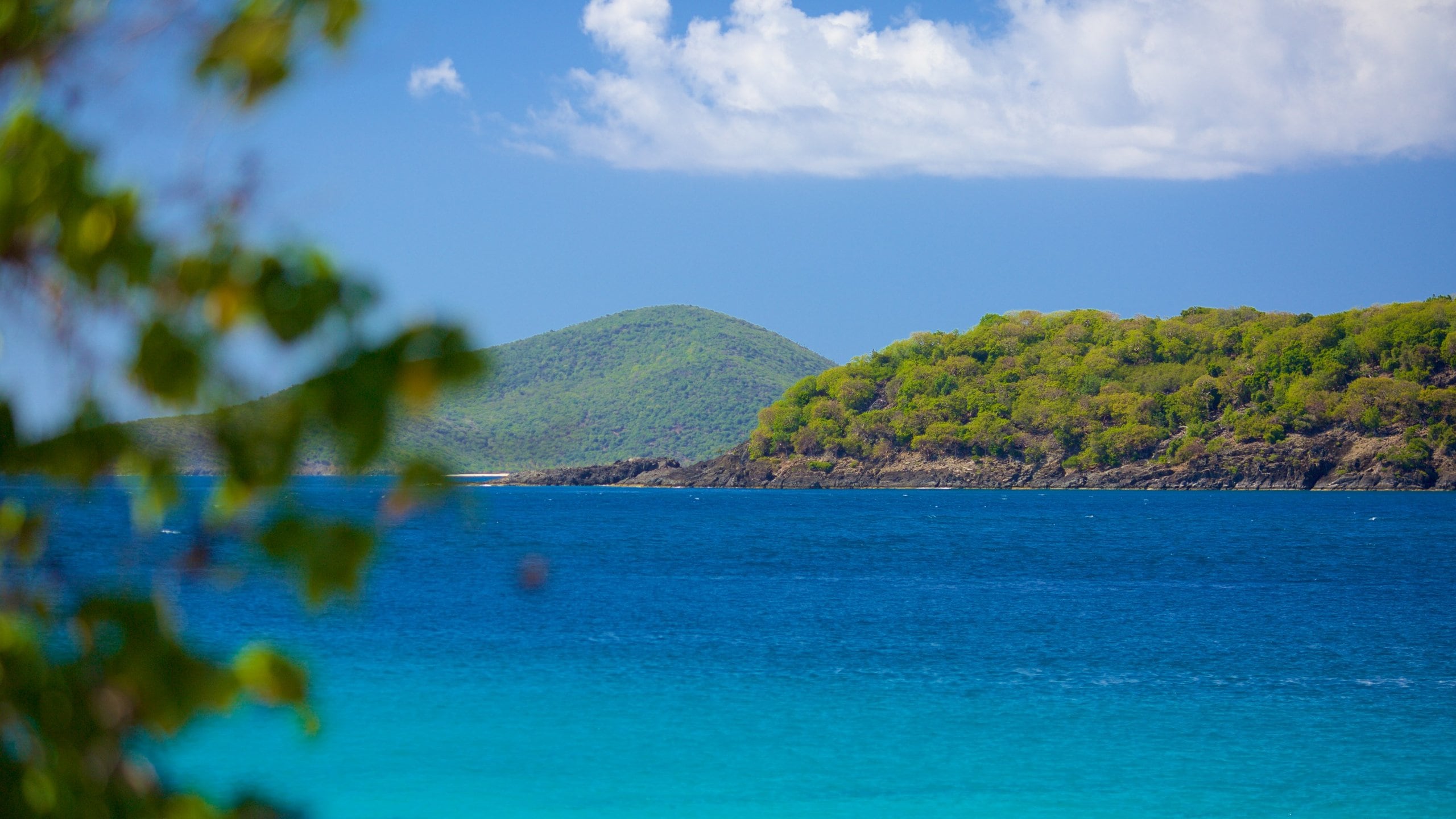 Coki Point Beach Tours - Book Now | Expedia