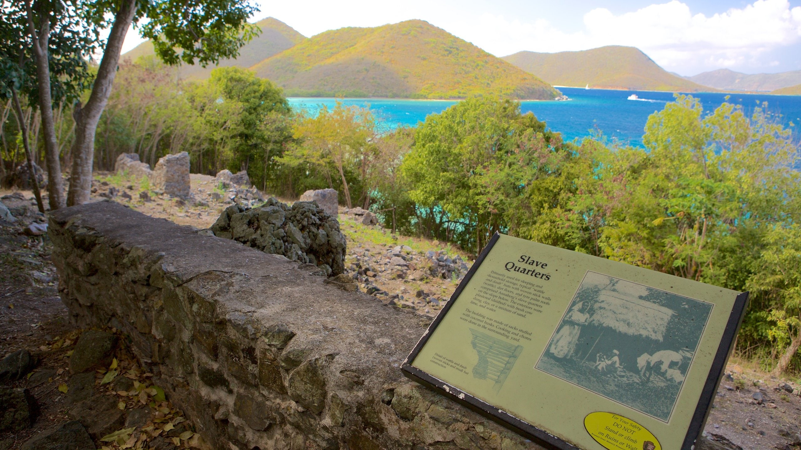 Us Virgin Islands National Park Rainforest