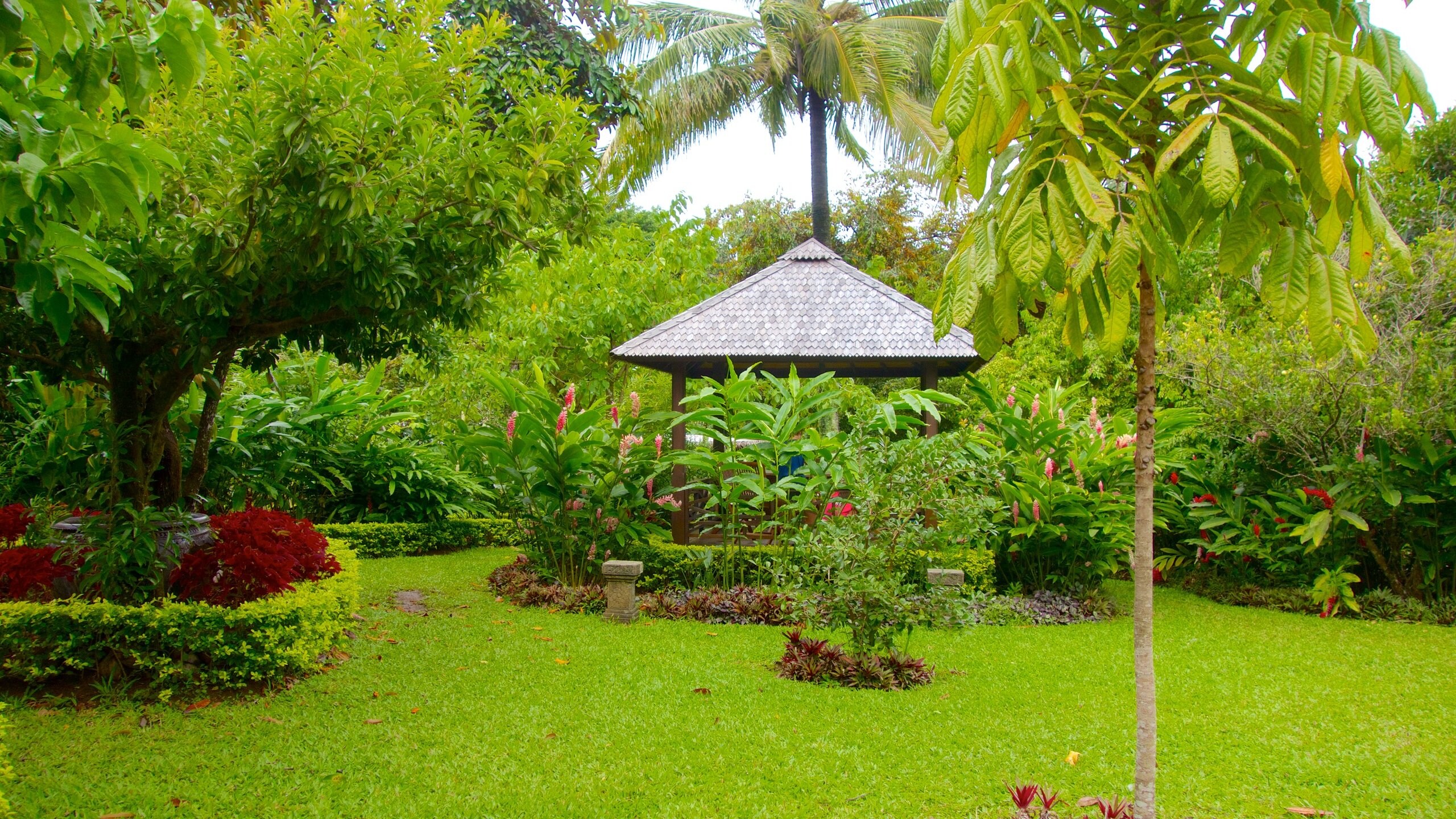 Maire Nui Botanical Gardens, Rarotonga holiday homes from NZ$ 101/night ...