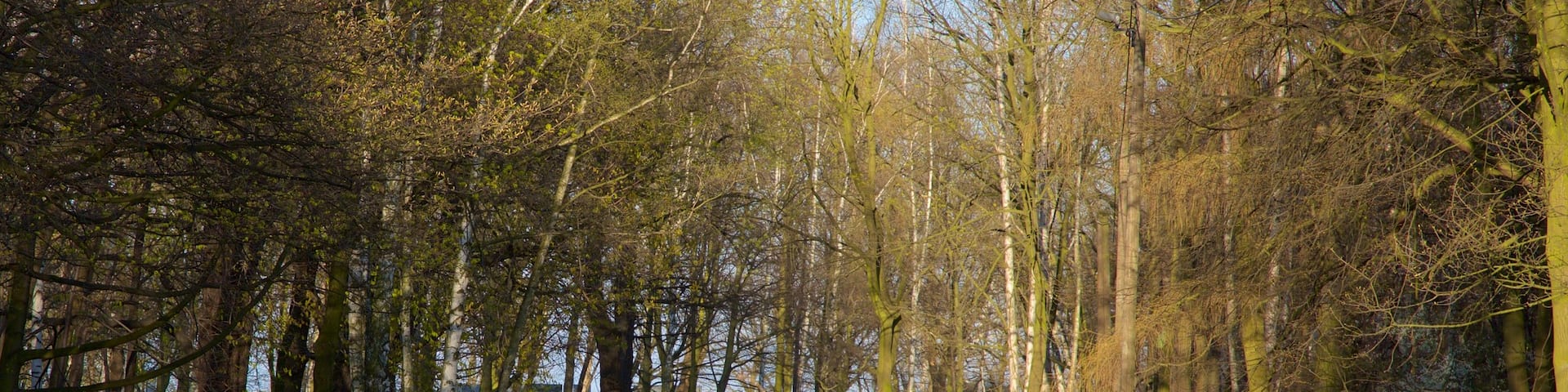 Jelitkowo, Gdańsk, Voivodia da Pomerânia, Polônia