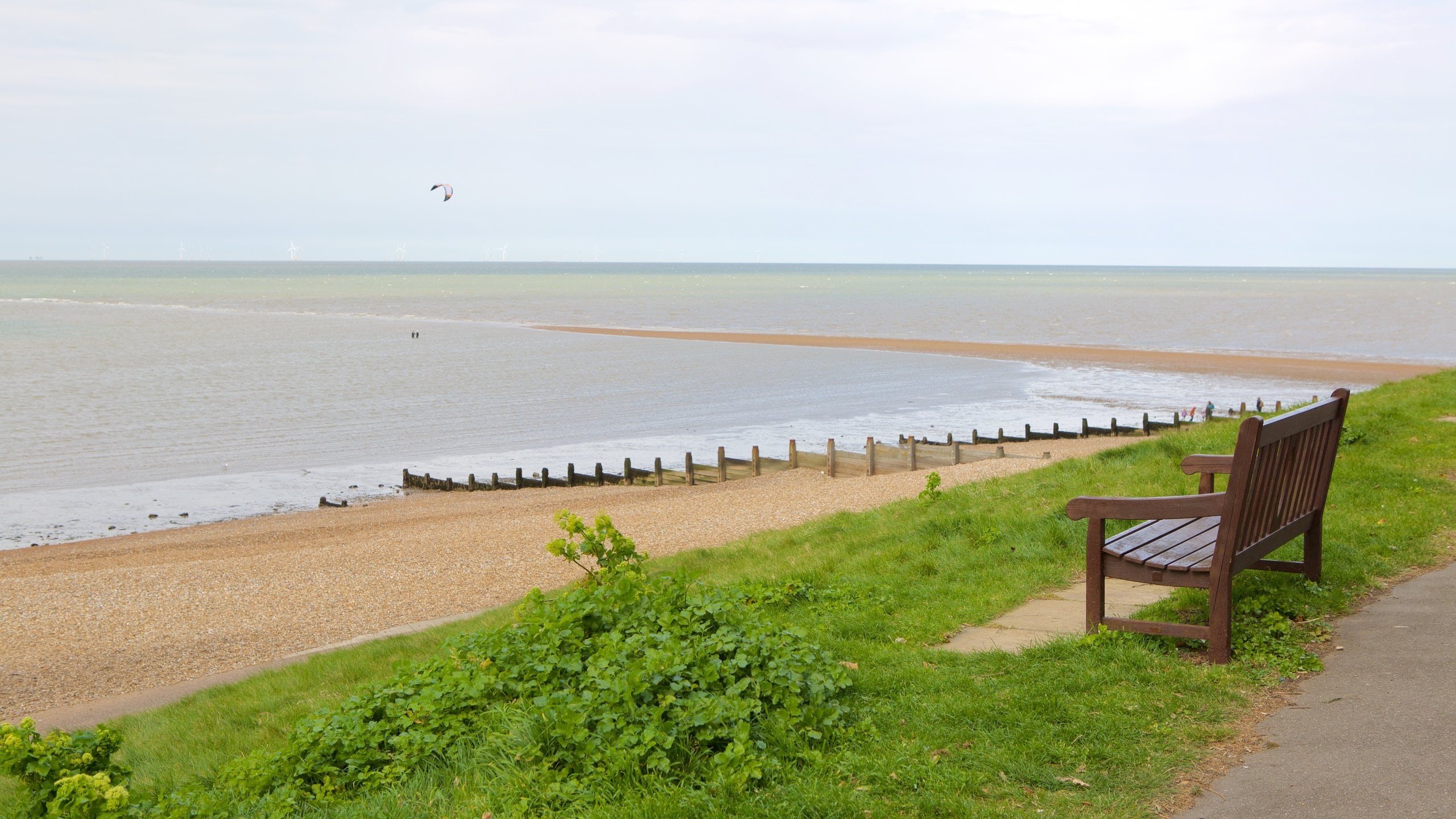 10 TOP Things to Do in Whitstable July 2024 | Expedia