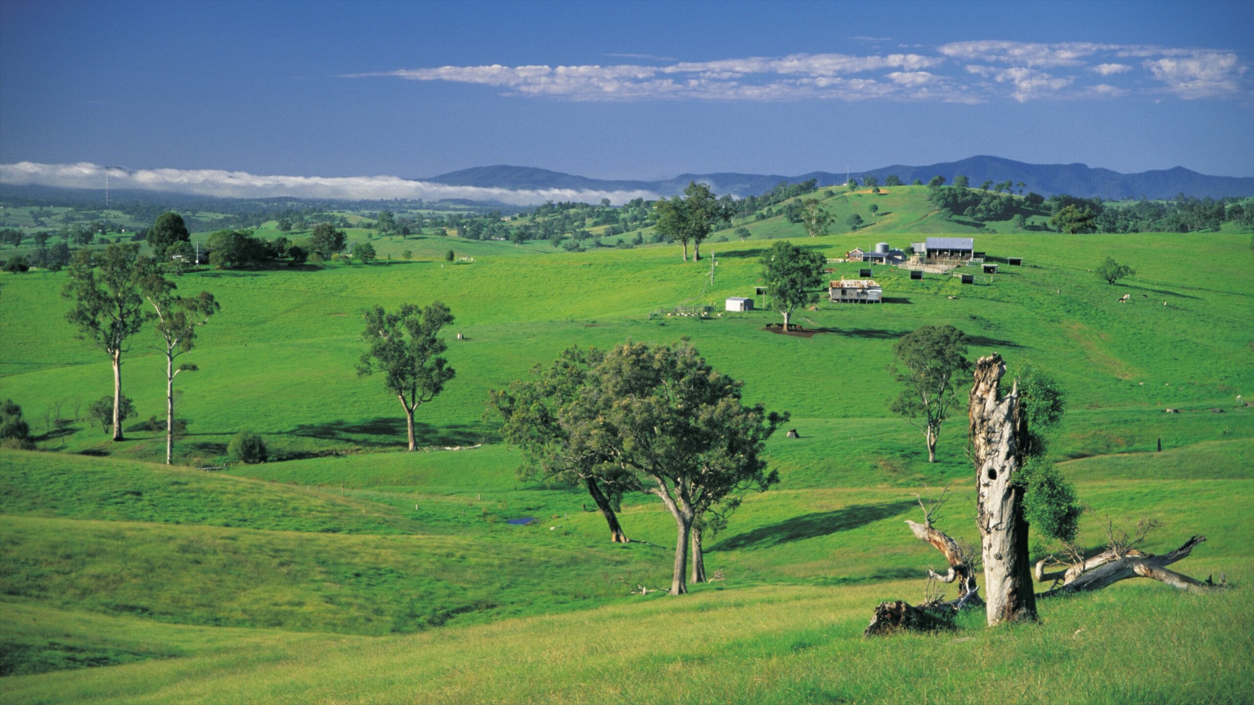 Bega Valley Shire Council, AU holiday accommodation from AU$ 111/night ...
