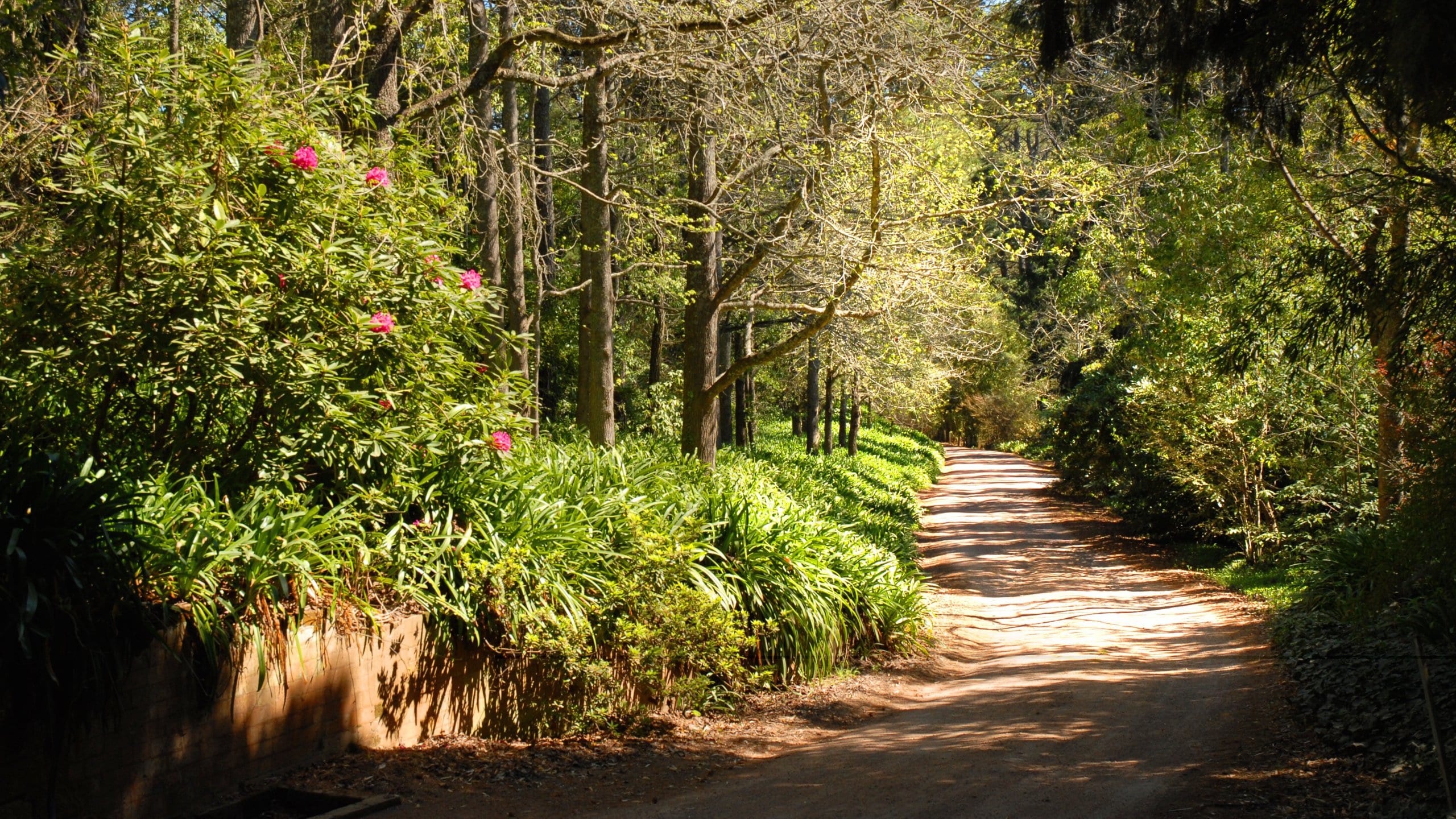 Travel Moss Vale: Best of Moss Vale, Visit Bowral | Expedia Tourism