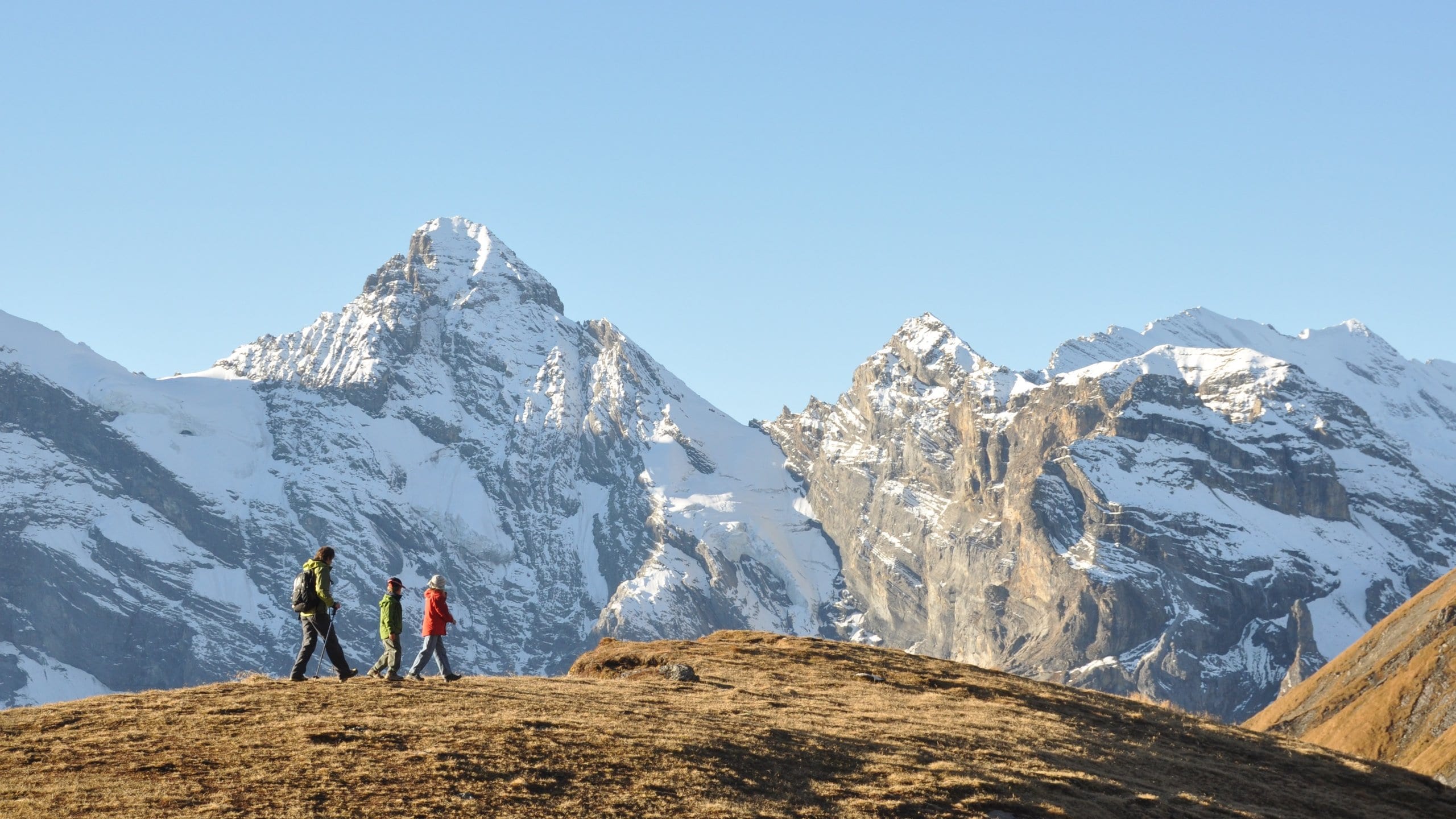 Gimmelwald Travel Guide: Best of Gimmelwald, Lauterbrunnen Travel 2024 ...