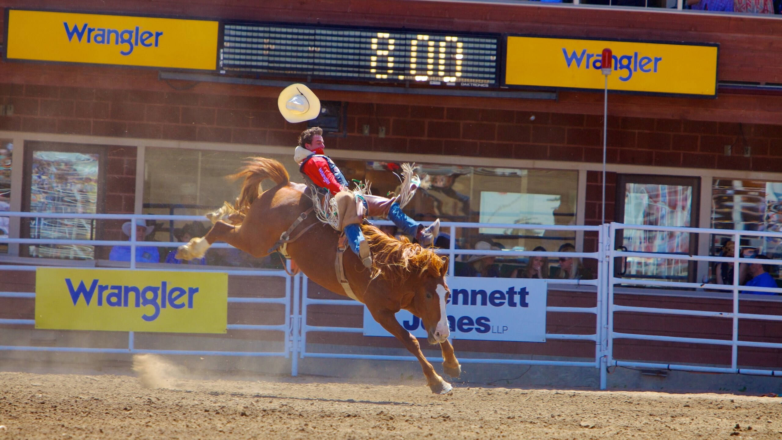 Visit Calgary: Best of Calgary Tourism | Expedia Travel Guide