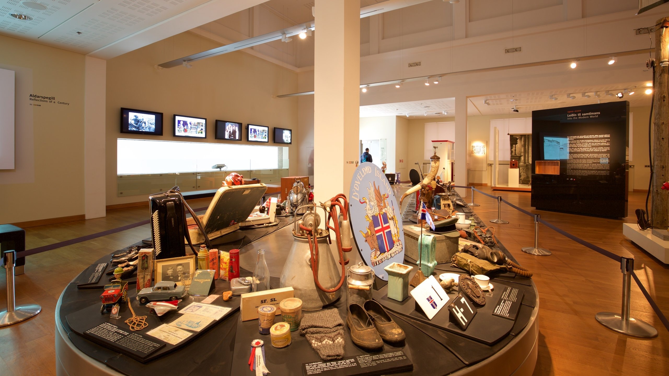 National Museum of Iceland Tours - Book Now | Expedia