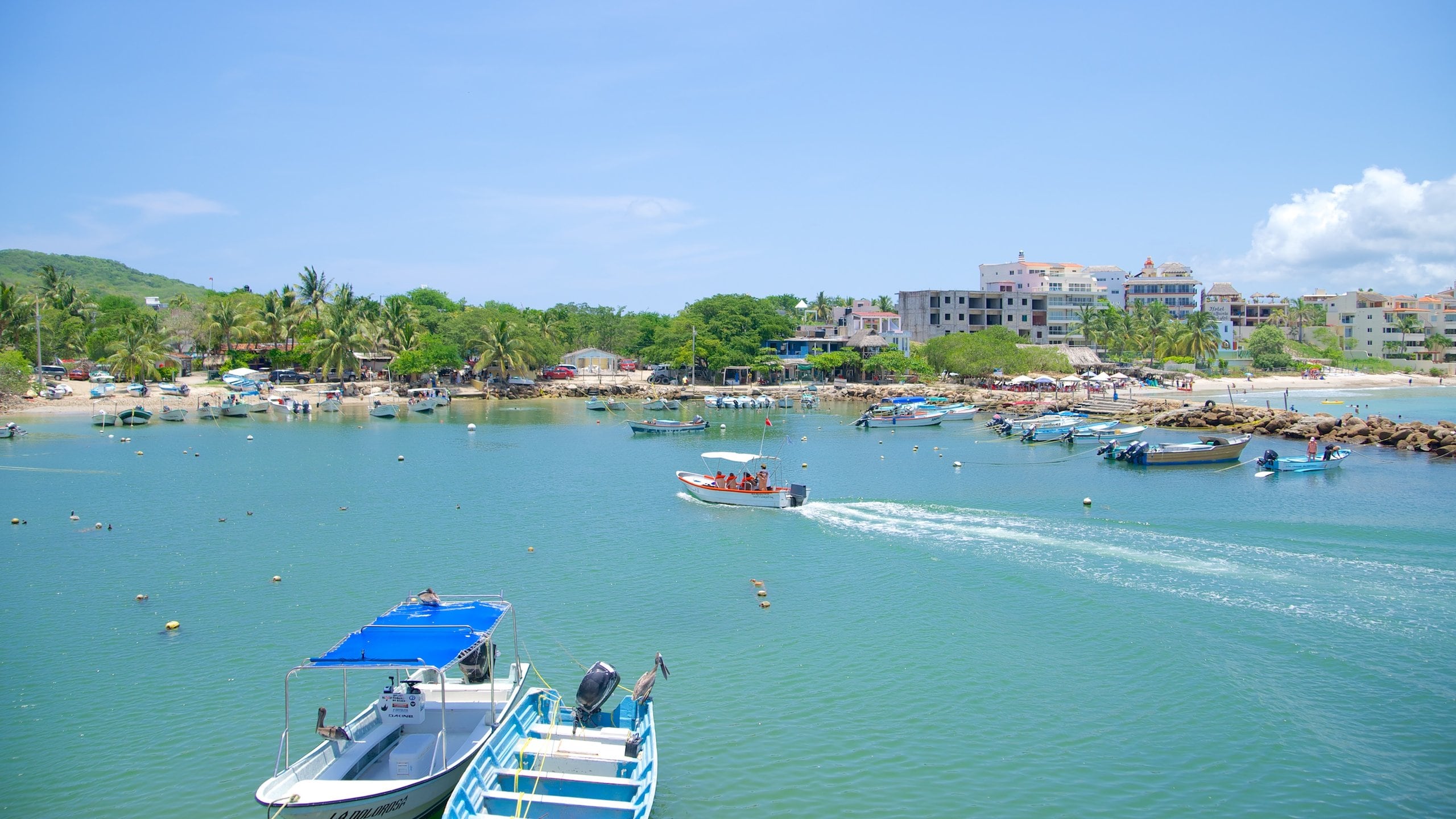 El Anclote Beach in Punta de Mita - Tours and Activities | Expedia.ca