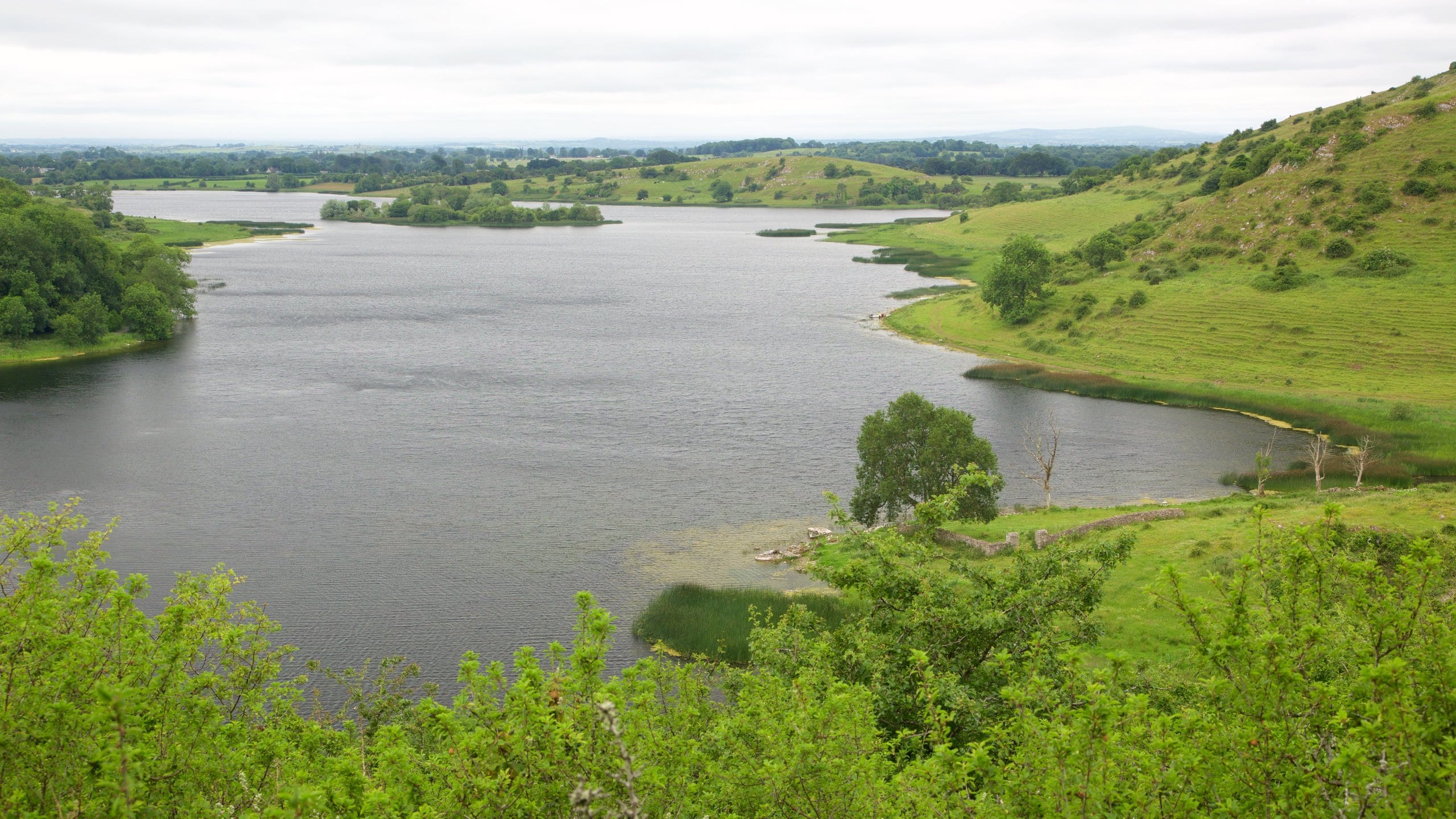 Visit Bruff: 2022 Travel Guide for Bruff, County Limerick | Expedia