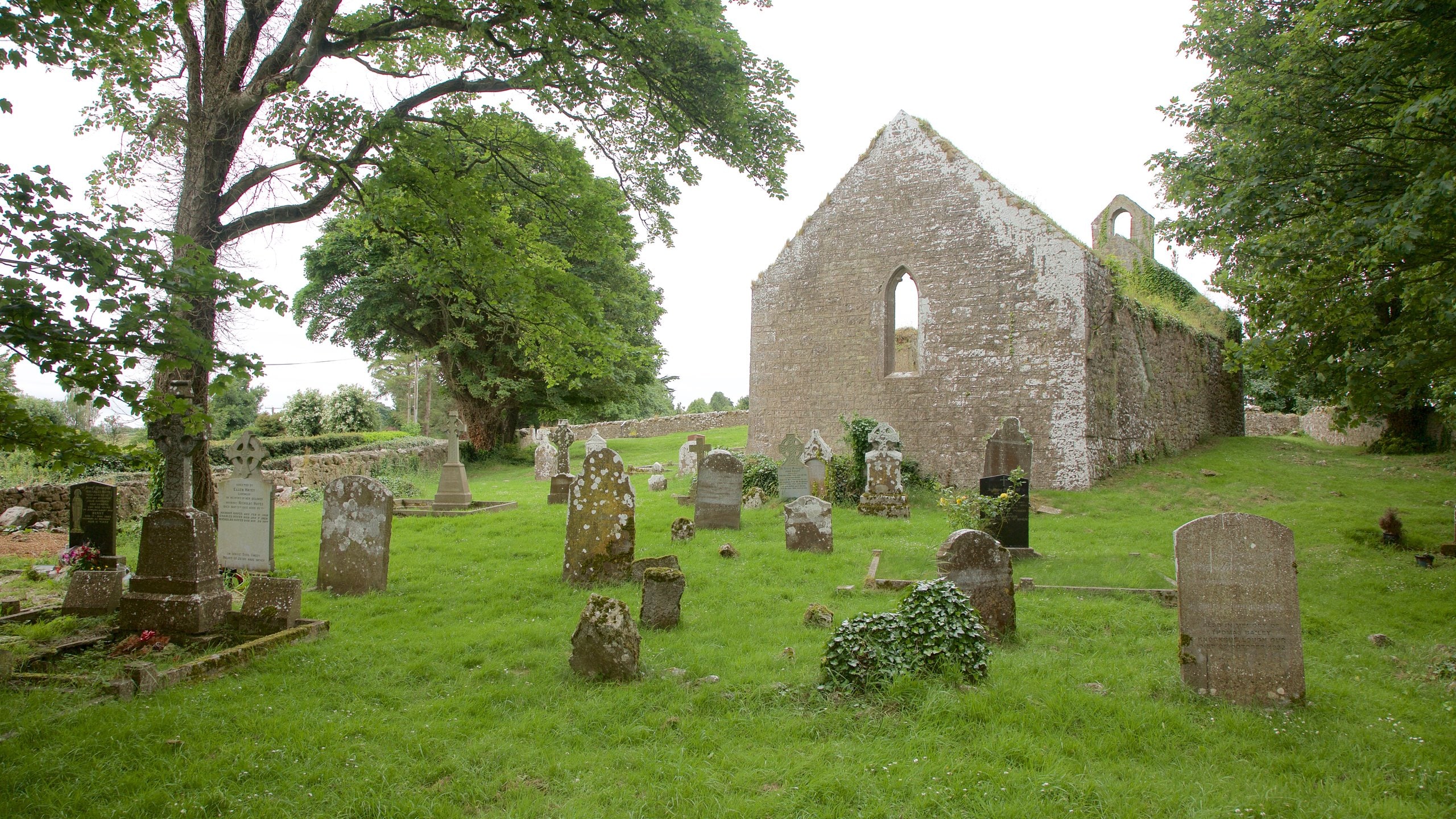 Visit Bruff: 2022 Travel Guide for Bruff, County Limerick | Expedia