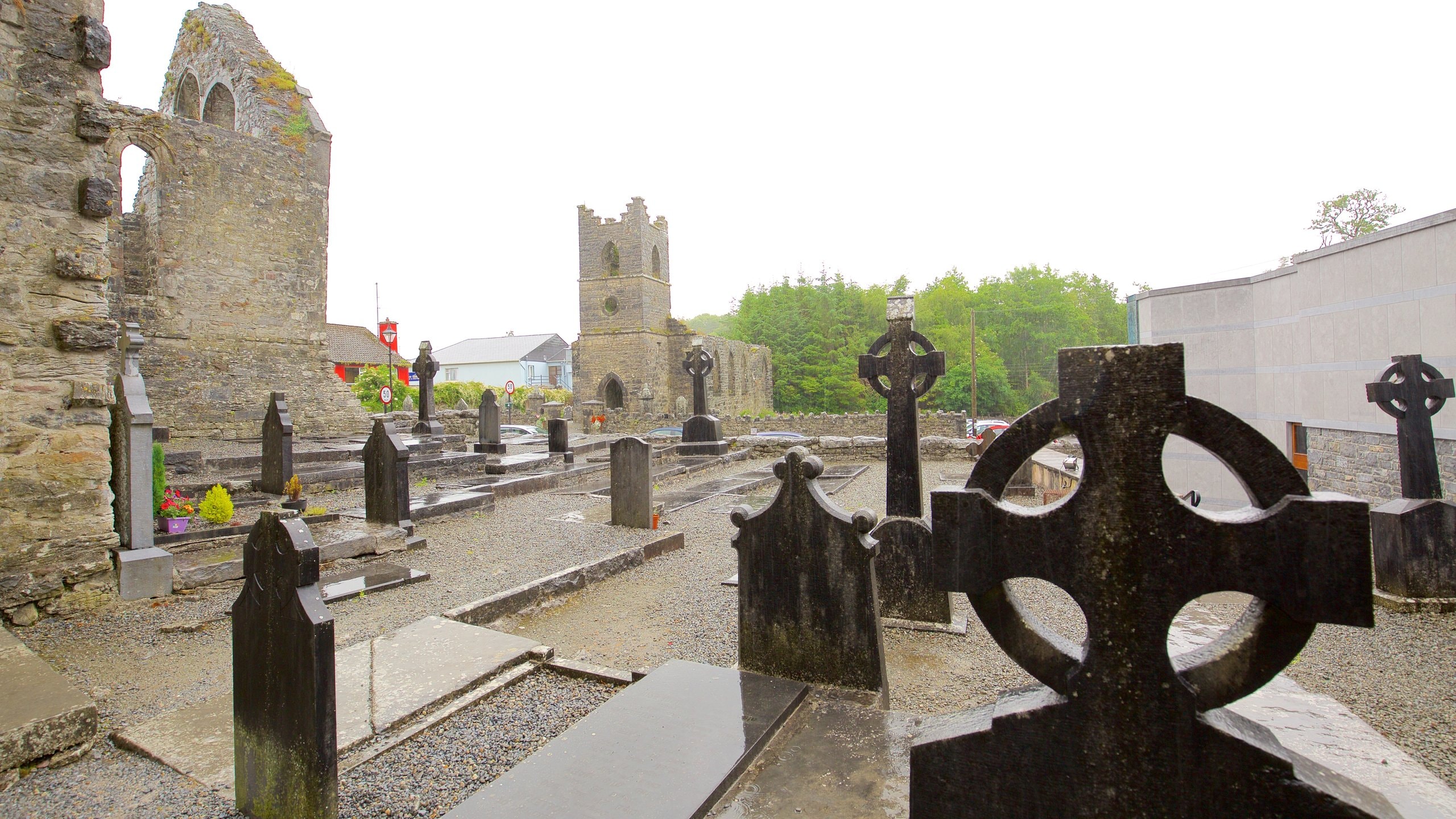 Visit Cong: Best of Cong Tourism | Expedia Travel Guide