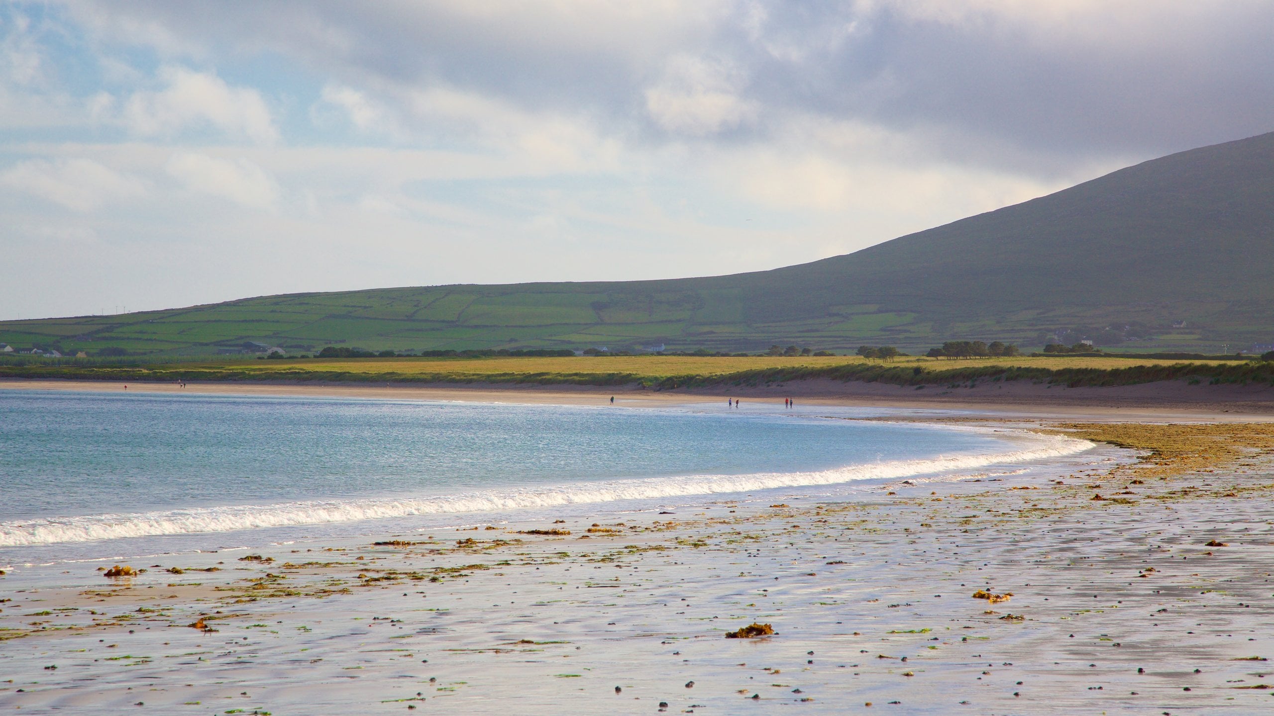 Ferienwohnung Ventry, IE: Ferienhäuser & mehr | FeWo-direkt