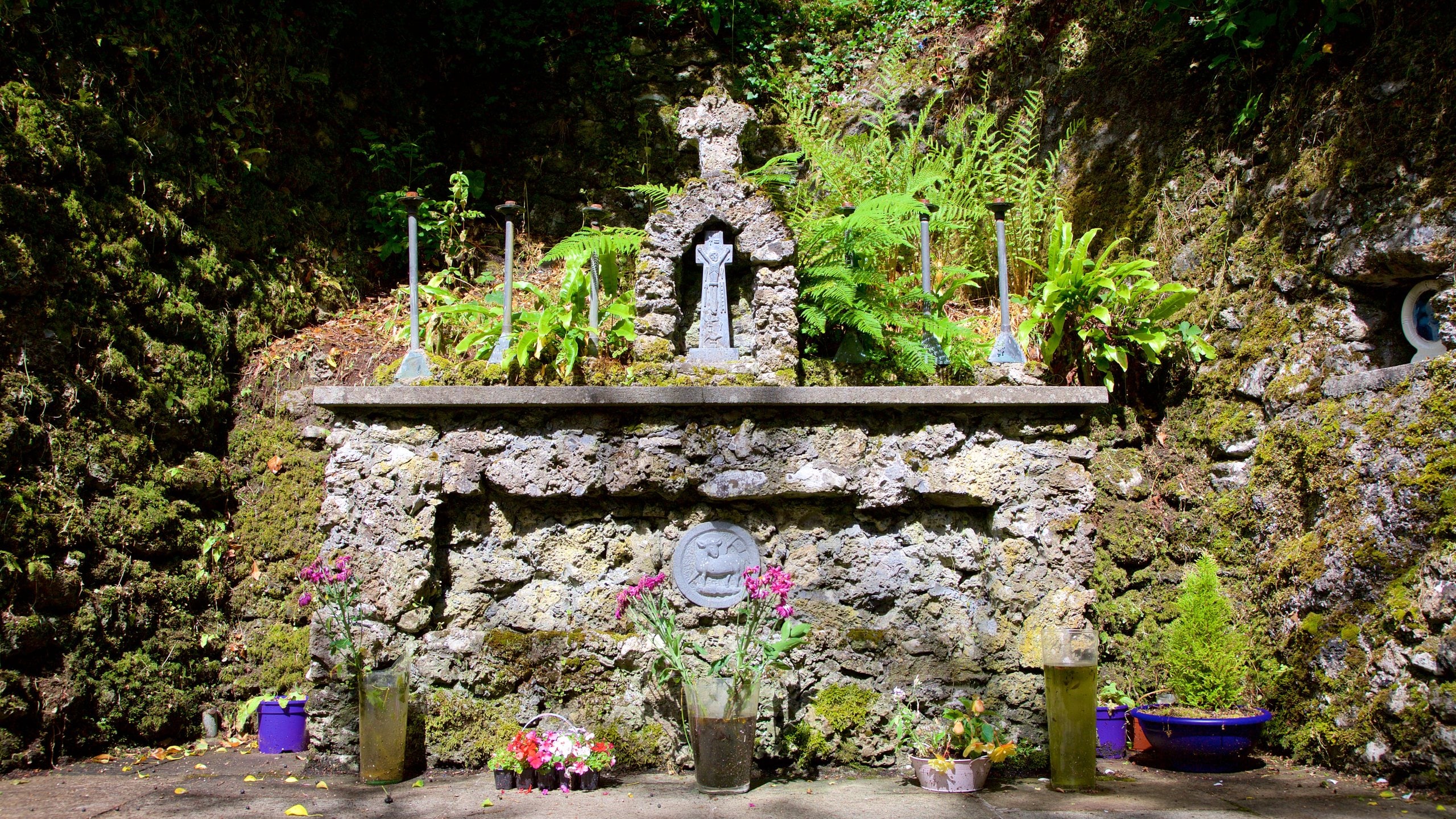 Tobernalt Holy Well in Sligo - Tours and Activities | Expedia.ca