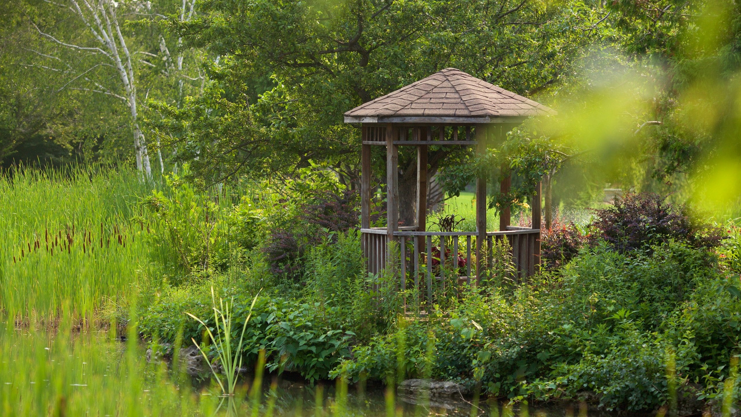 Visit Rexdale: Best of Rexdale, Toronto Travel 2024 | Expedia Tourism