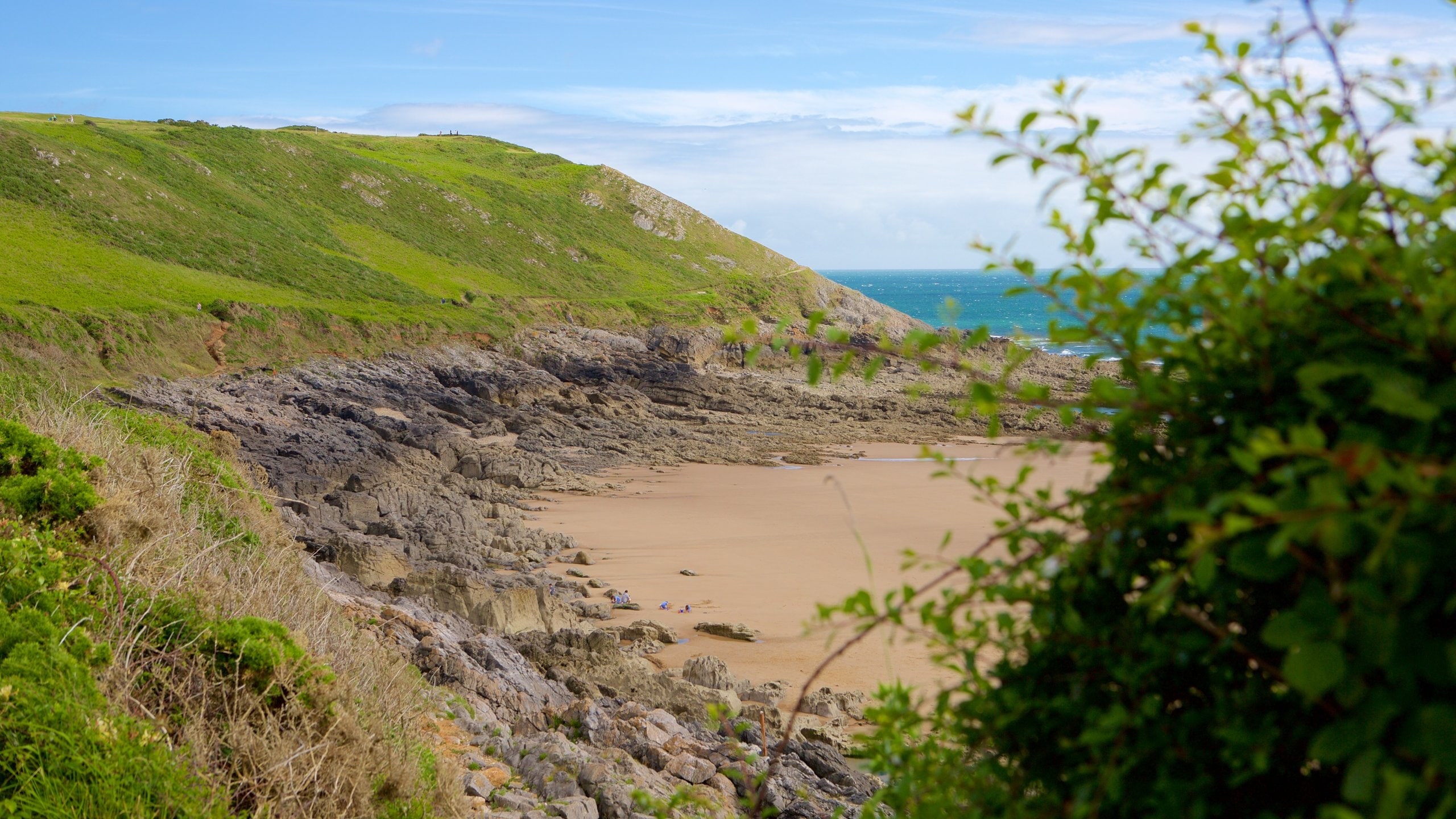 Caswell Bay Beach holiday rentals: houses & more | Vrbo