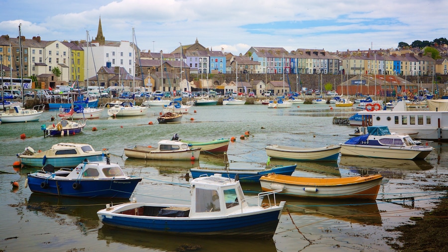 Caernarfon mostrando canoagem, uma marina e um rio ou córrego