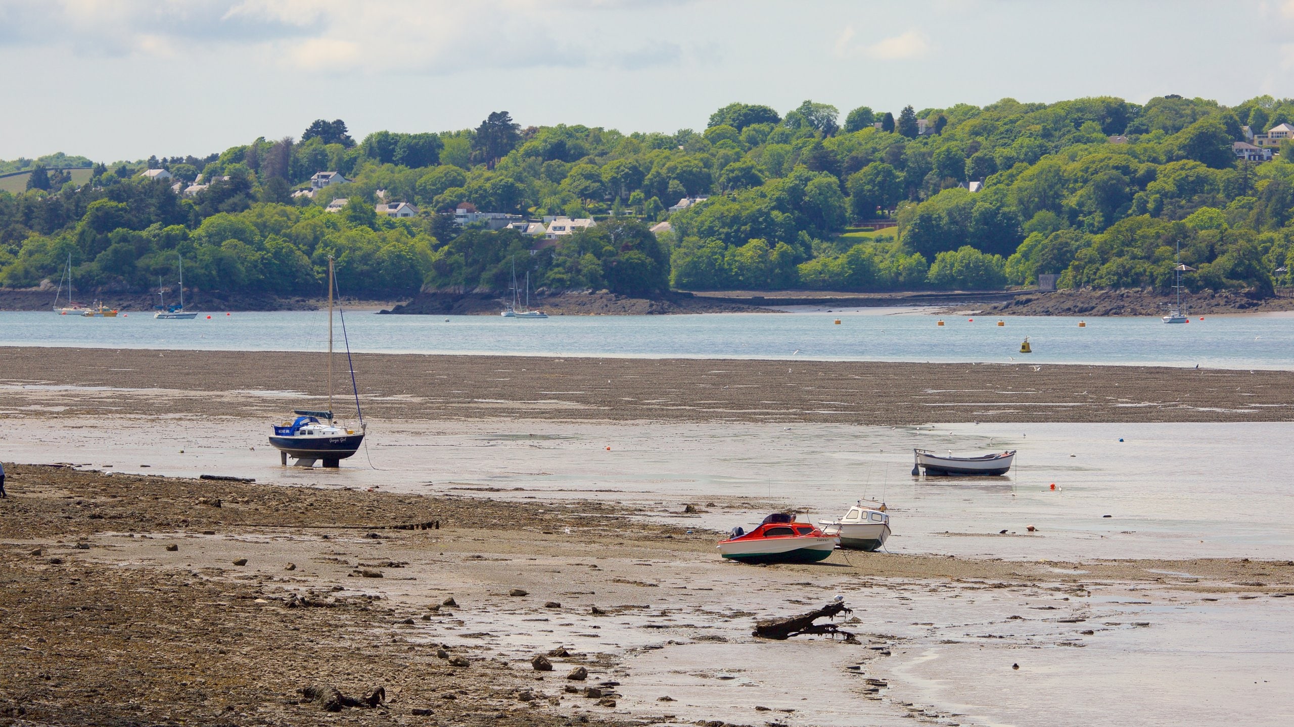 Visit Bangor: Best of Bangor, Wales Travel 2024 | Expedia Tourism