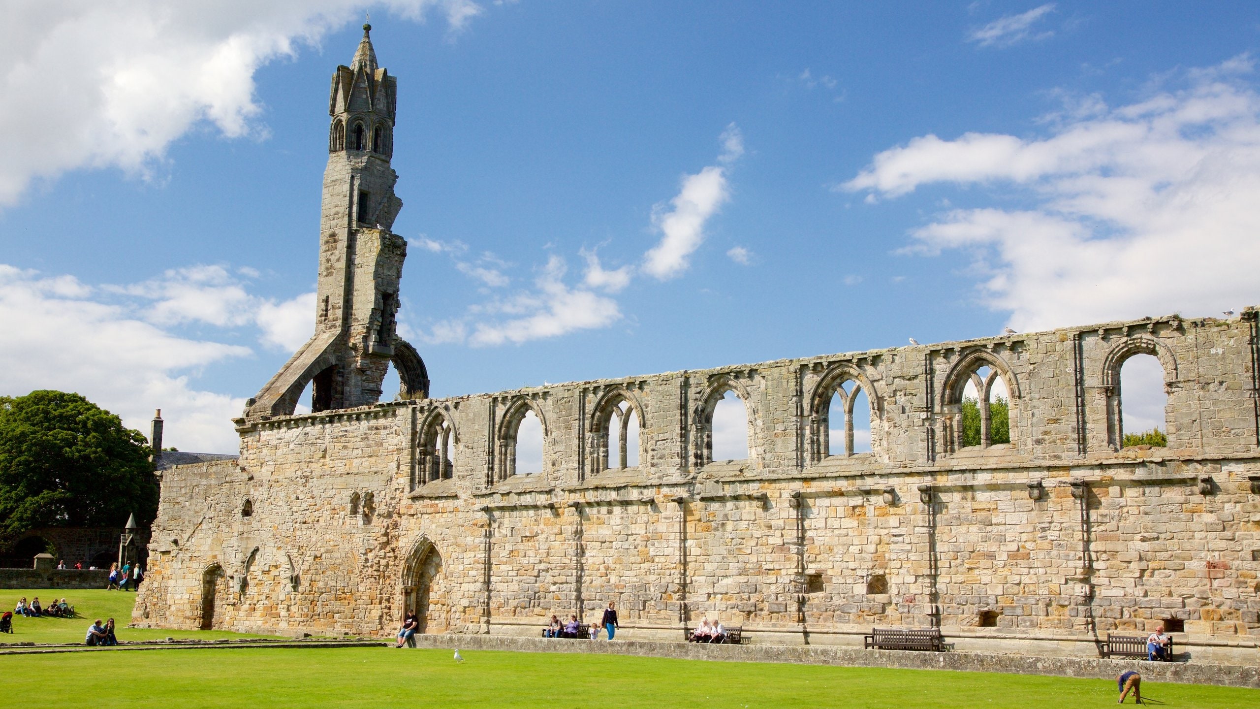 St. Andrew's Cathedral, Saint Andrews holiday rentals: cabins & more | Vrbo