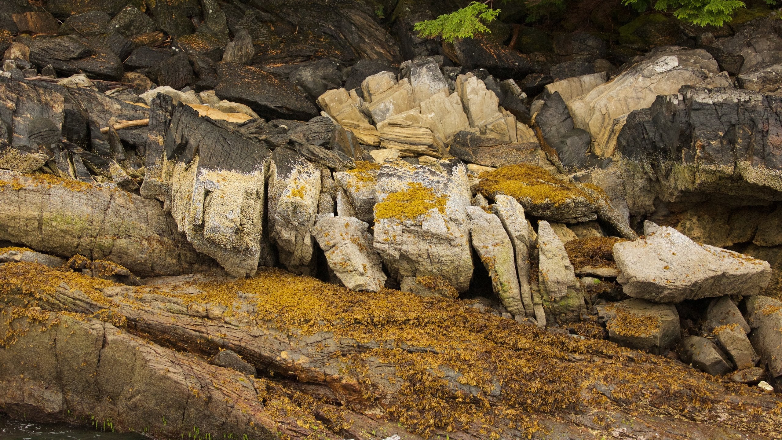 Visit Hyder: Best of Hyder Tourism | Expedia Travel Guide