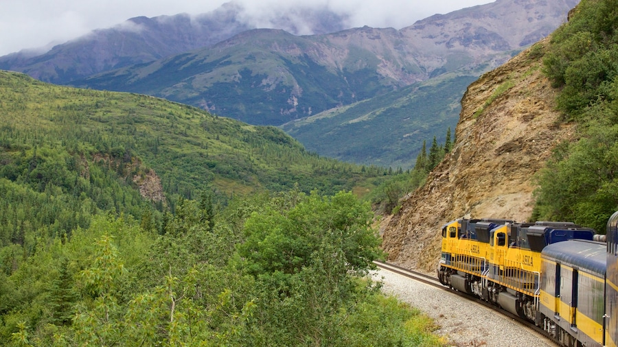 Fairbanks que inclui florestas e itens de ferrovia