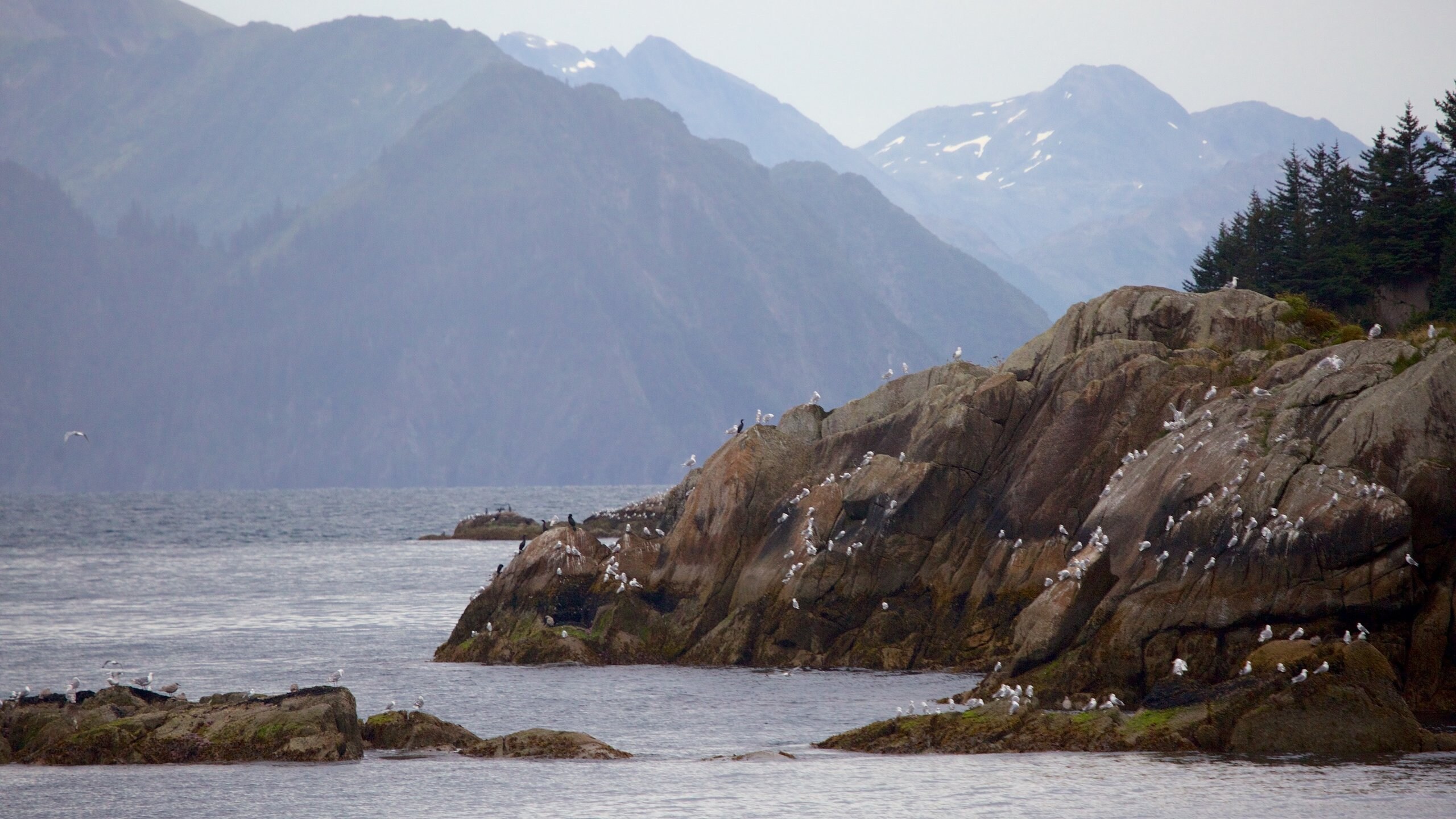 Visit Seward: 2021 Travel Guide for Seward, Alaska | Expedia