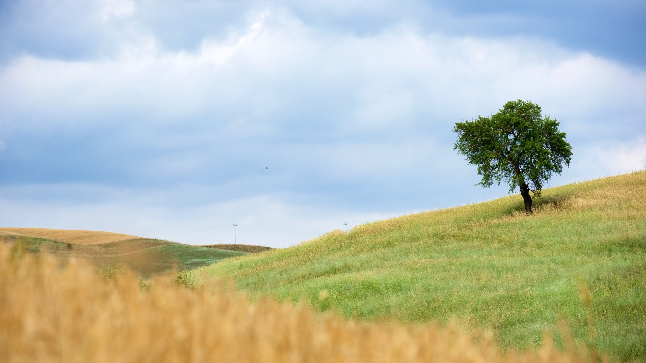 Visit Northern Rome: Best of Northern Rome Tourism | Expedia Travel Guide