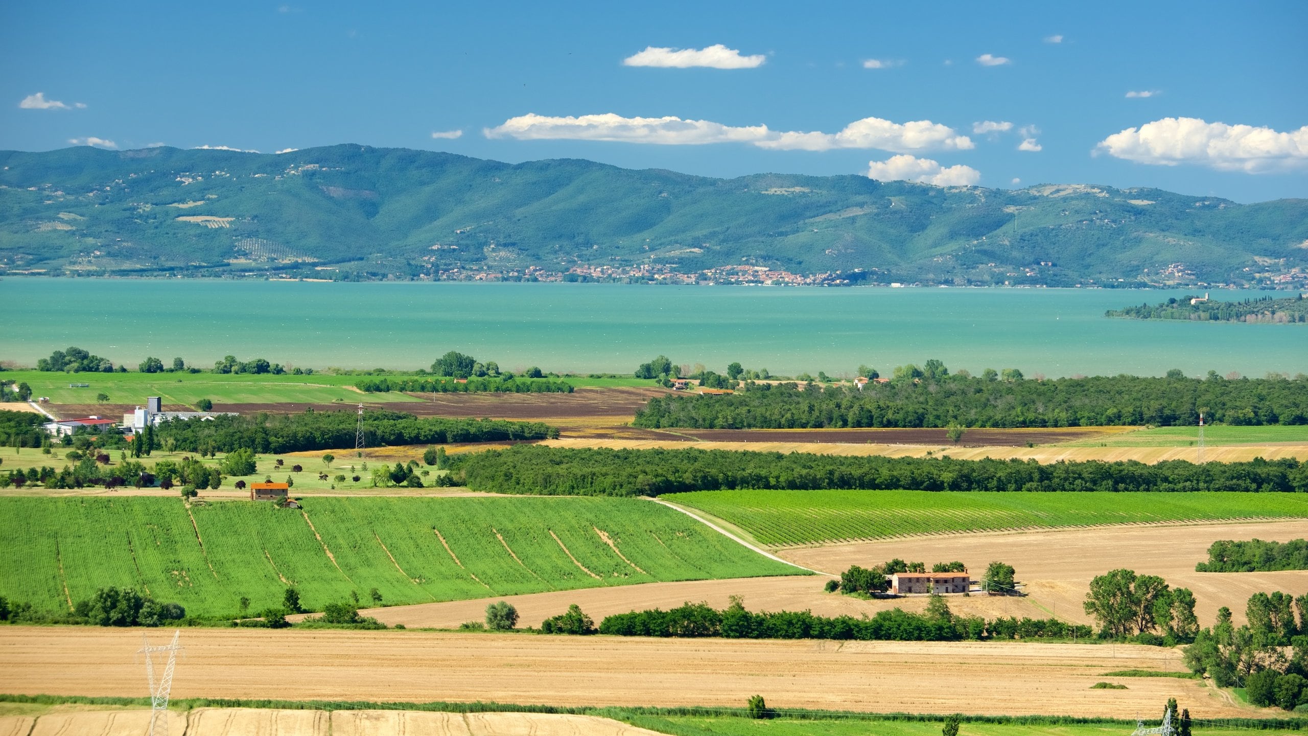 Querciolana Panicale Umbria
