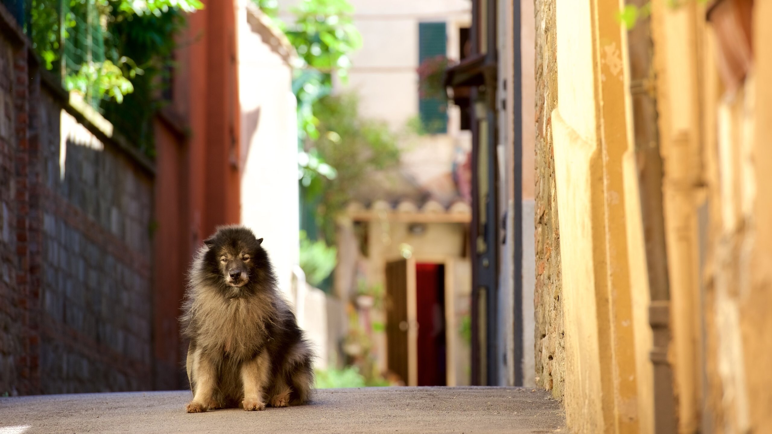 Visit Perugia: 2024 Travel Guide for Perugia, Umbria | Expedia