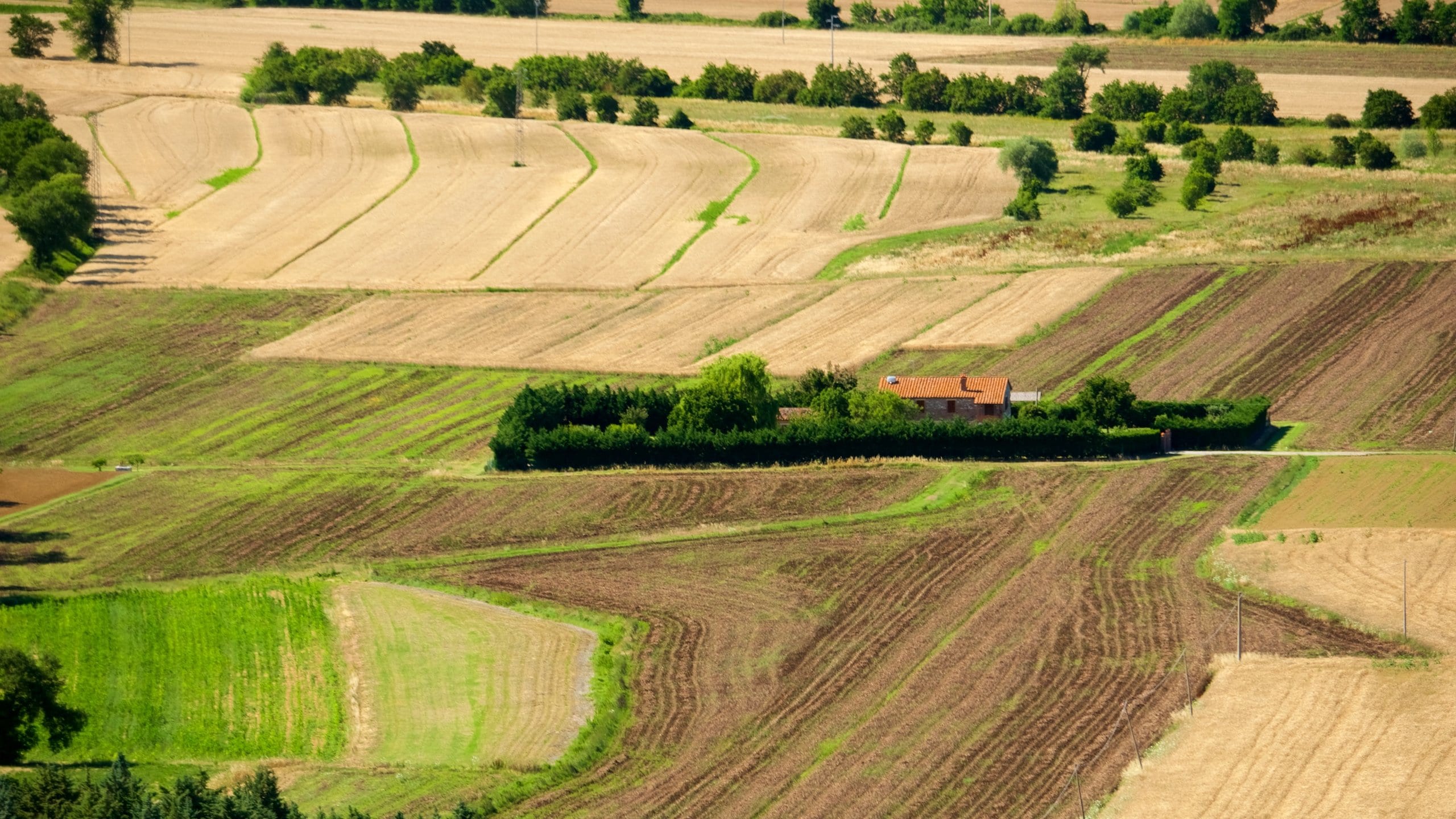 Panicale Travel Guide: Best of Panicale, Umbria Travel 2024 | Expedia.co.uk